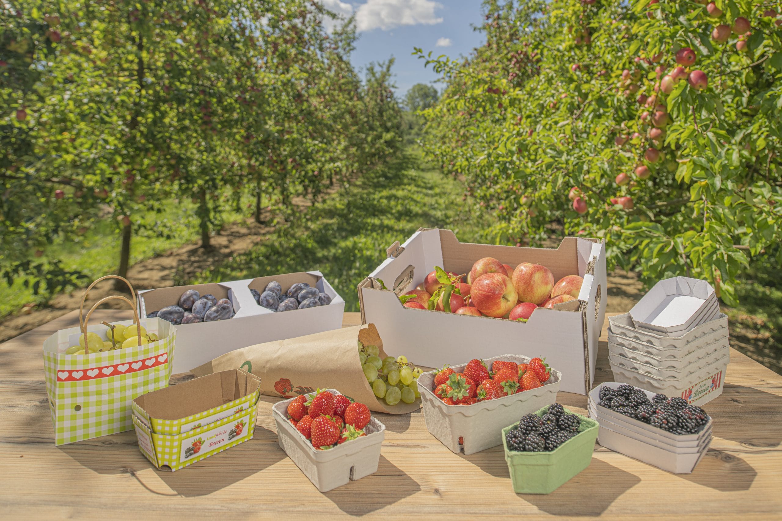 Verpackungen für Obst & Gemüse auf der expoSE 2022 - Flexpack