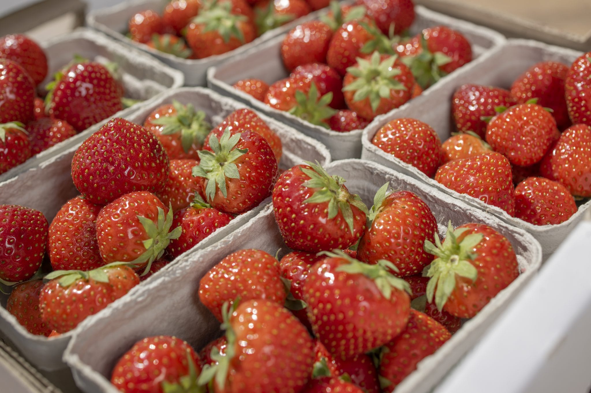 Verpackungen für Obst und Gemüse - Flexpack